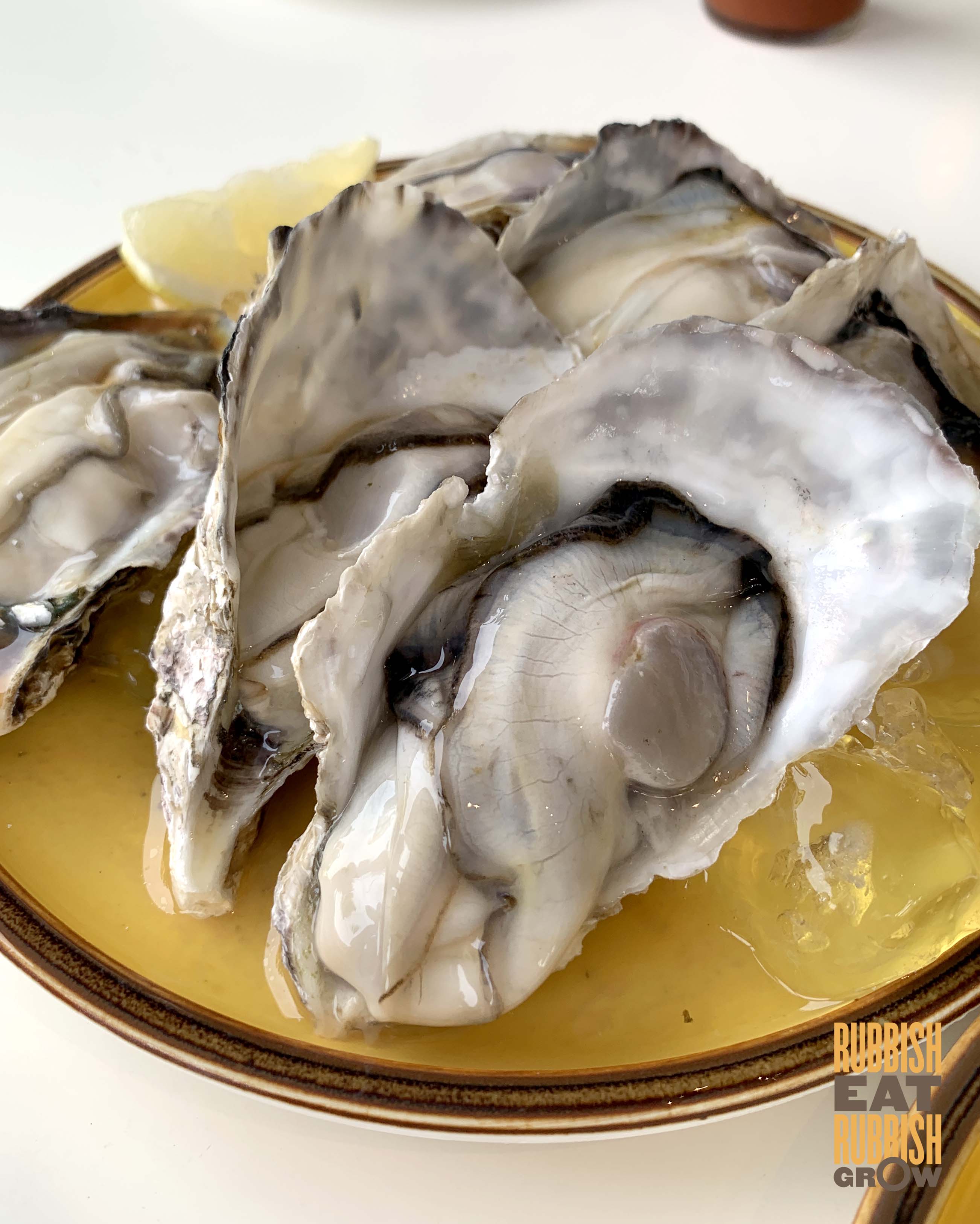 Guriru by Teppei, Outram: Charcoal-grilled Seafood by the Pool. It’s a ...